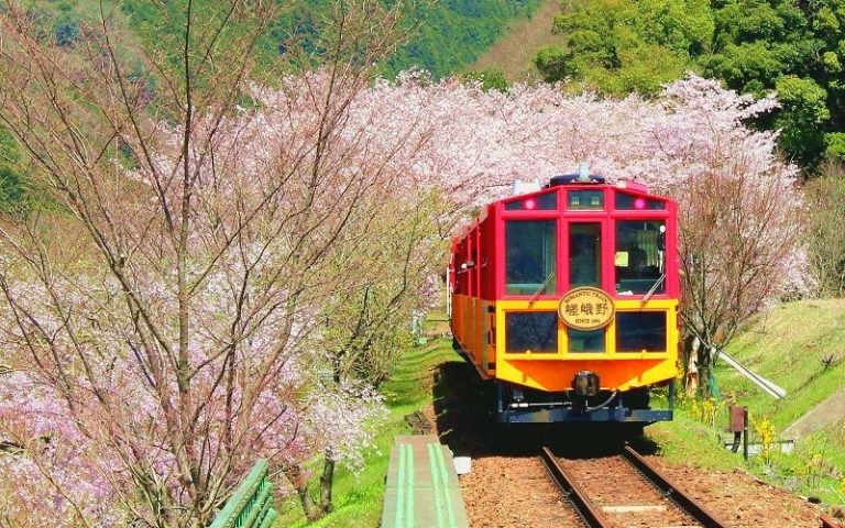 Sagano Scenic Railway: Romantic Train in Kyoto | JRailPass