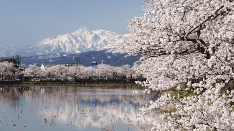 Niigata Travel Guide: Access and What to Do | JRailPass