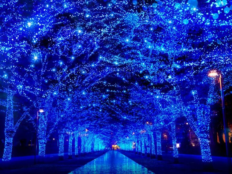 Las mejores luces de Navidad en Japón 2025 - Japan Rail Pass