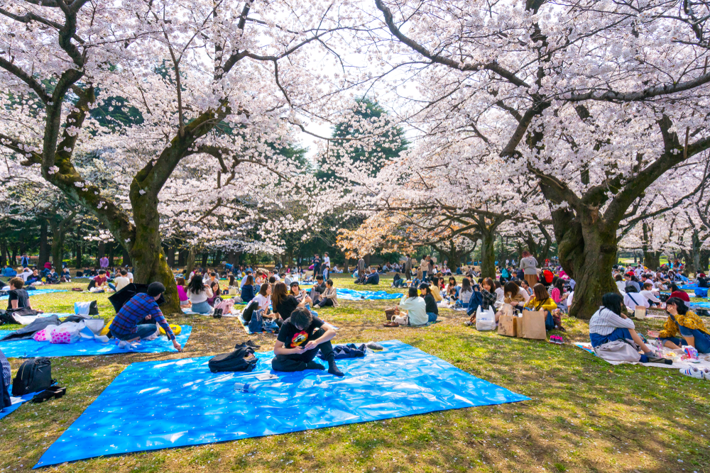 Parque Yoyogi, qué ver y cómo llegar - Japan Rail Pass