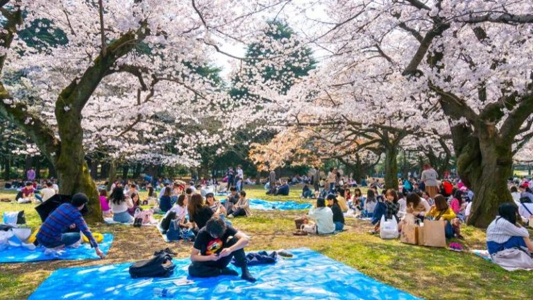 Parque Yoyogi, qué ver y cómo llegar - Japan Rail Pass