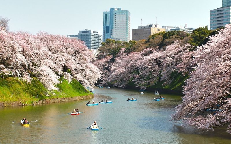 Le palais impérial de Tokyo : guide de voyage - JRailPass