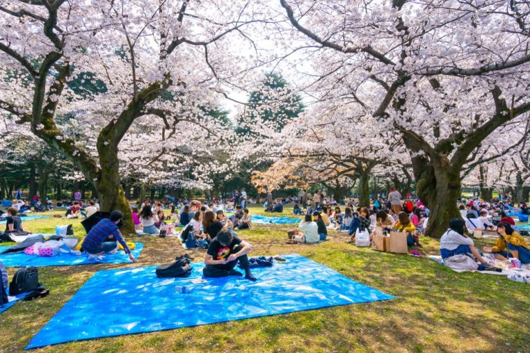 Kanto Region: Japan Travel Guide | JRailPass