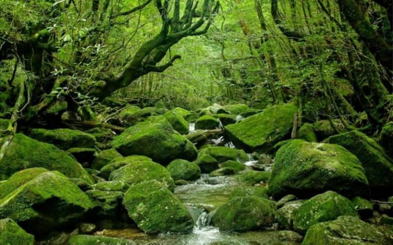 Kagoshima: Access and What to See | JRailPass