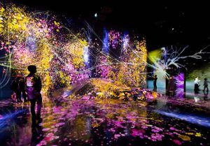 teamLab Borderless: Access and visitor's guide | JRailPass